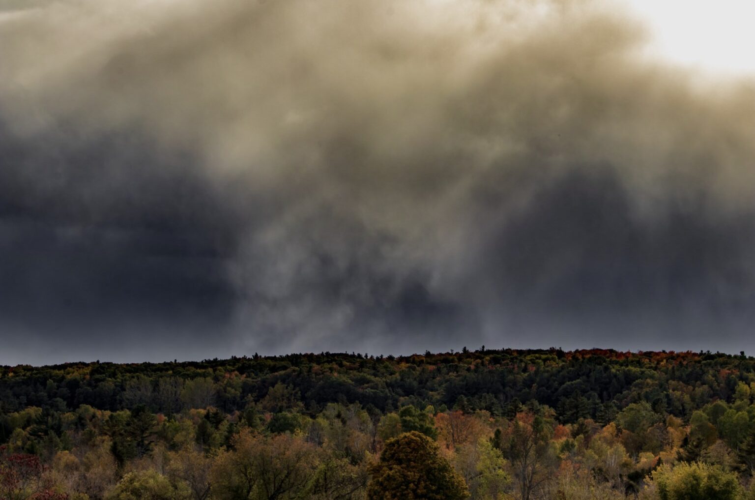 Understanding the dangers of snow squall warning - The Mutt
