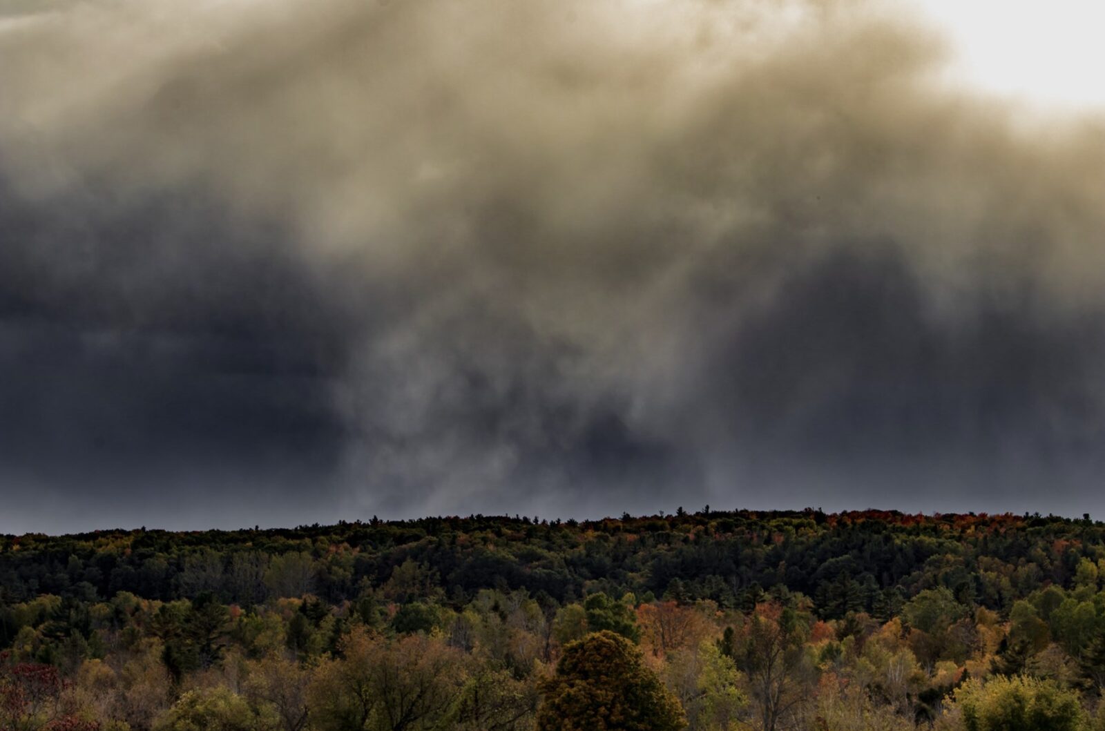 Understanding the dangers of snow squall warning - The Mutt
