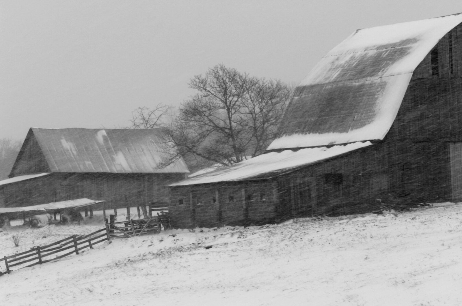 Understanding the dangers of snow squall warning - The Mutt